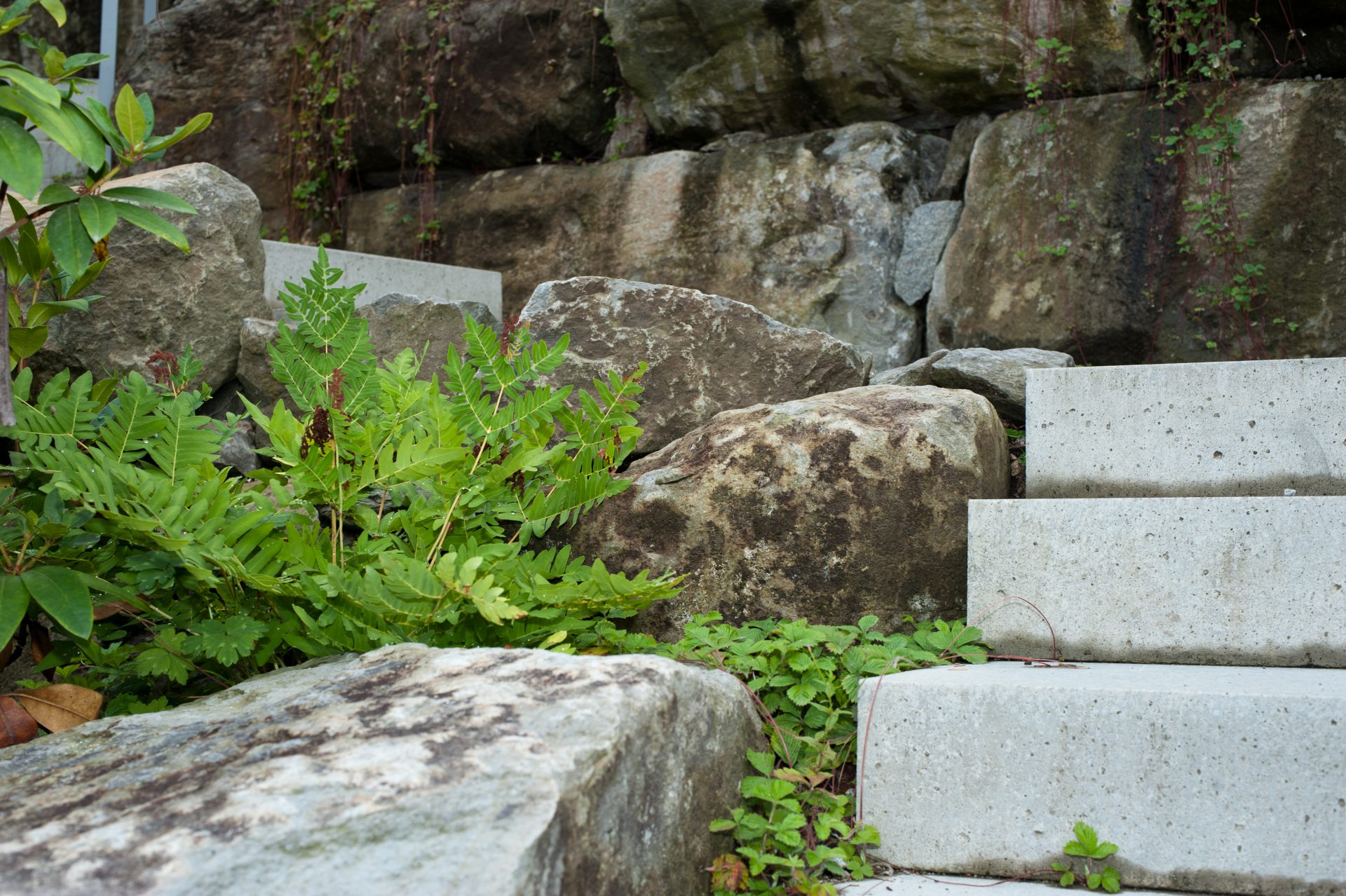 Bearmark Design – Beautiful. Functional. Livable Landscapes.